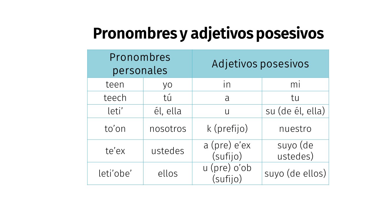 Pronombres y adjetivos posesivos | cursodelenguamaya